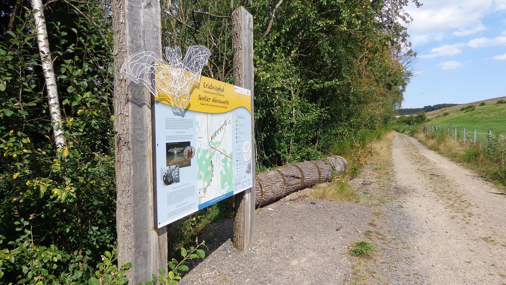 Le sentier « Découverte des chauves-souris » - Hiking Trails